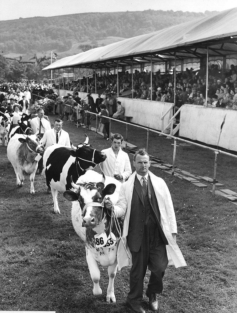 Historical Gallery Photos