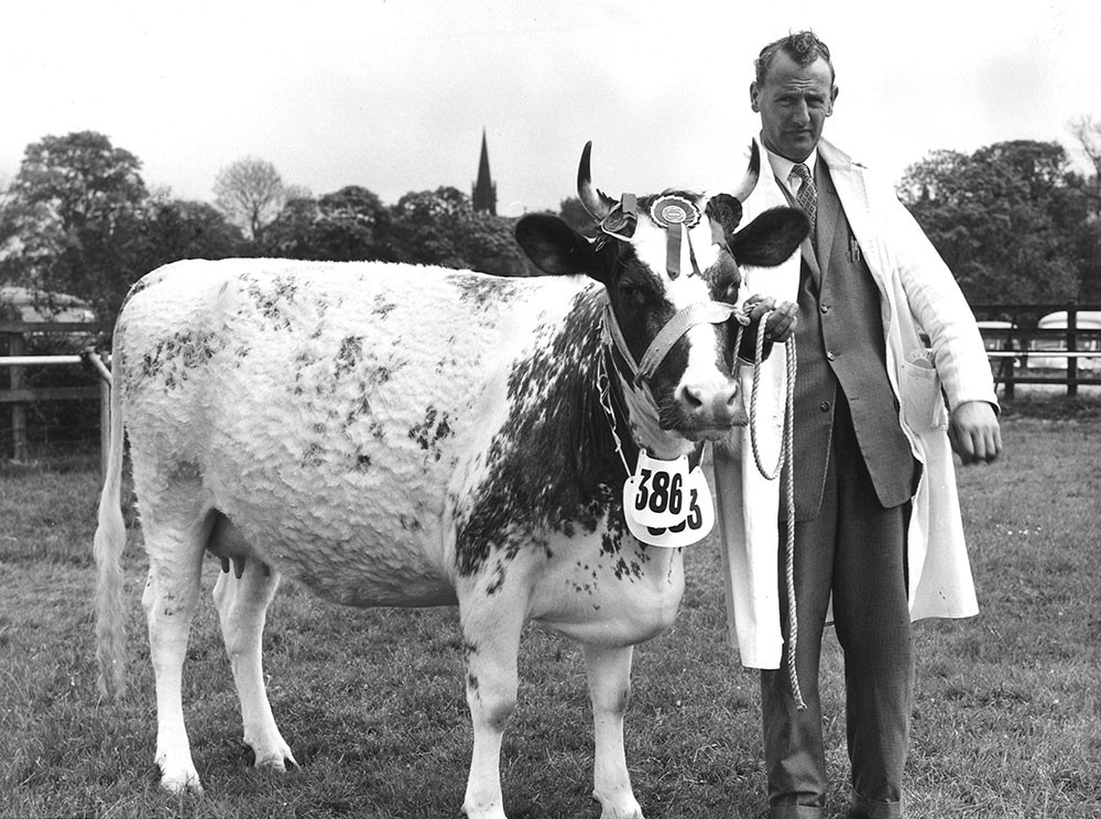 Historical Gallery Photos