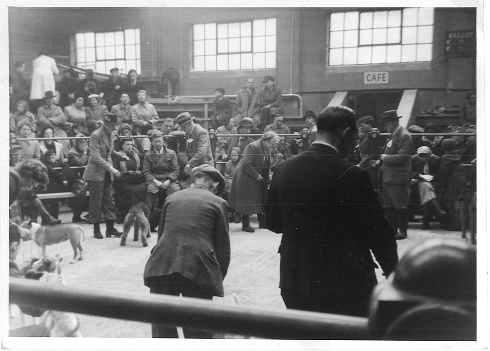 Historical Gallery Photos